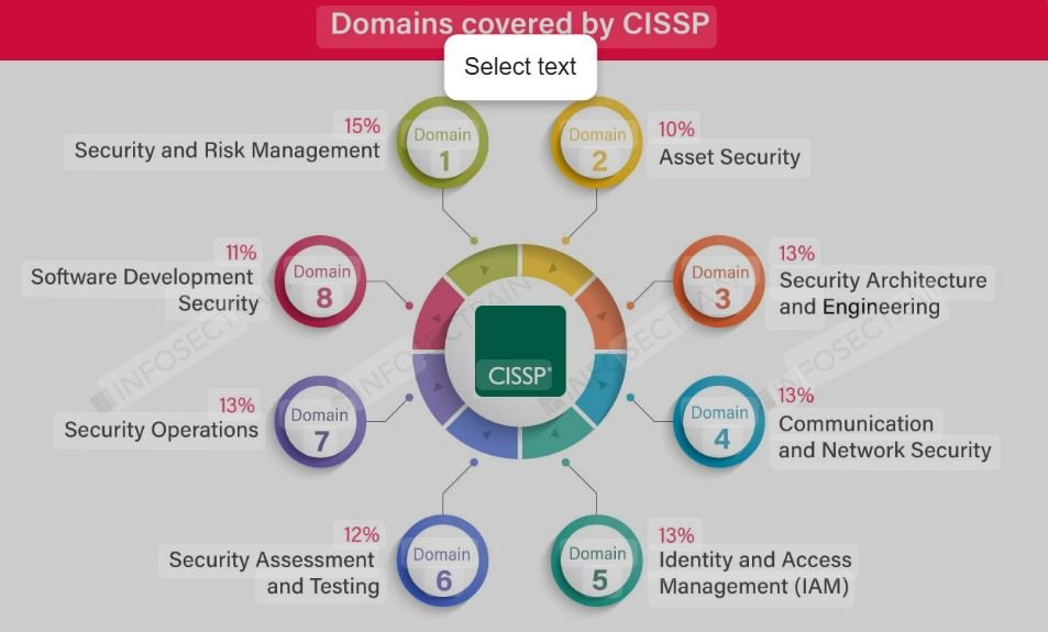 CISSP course and certification - promptally
